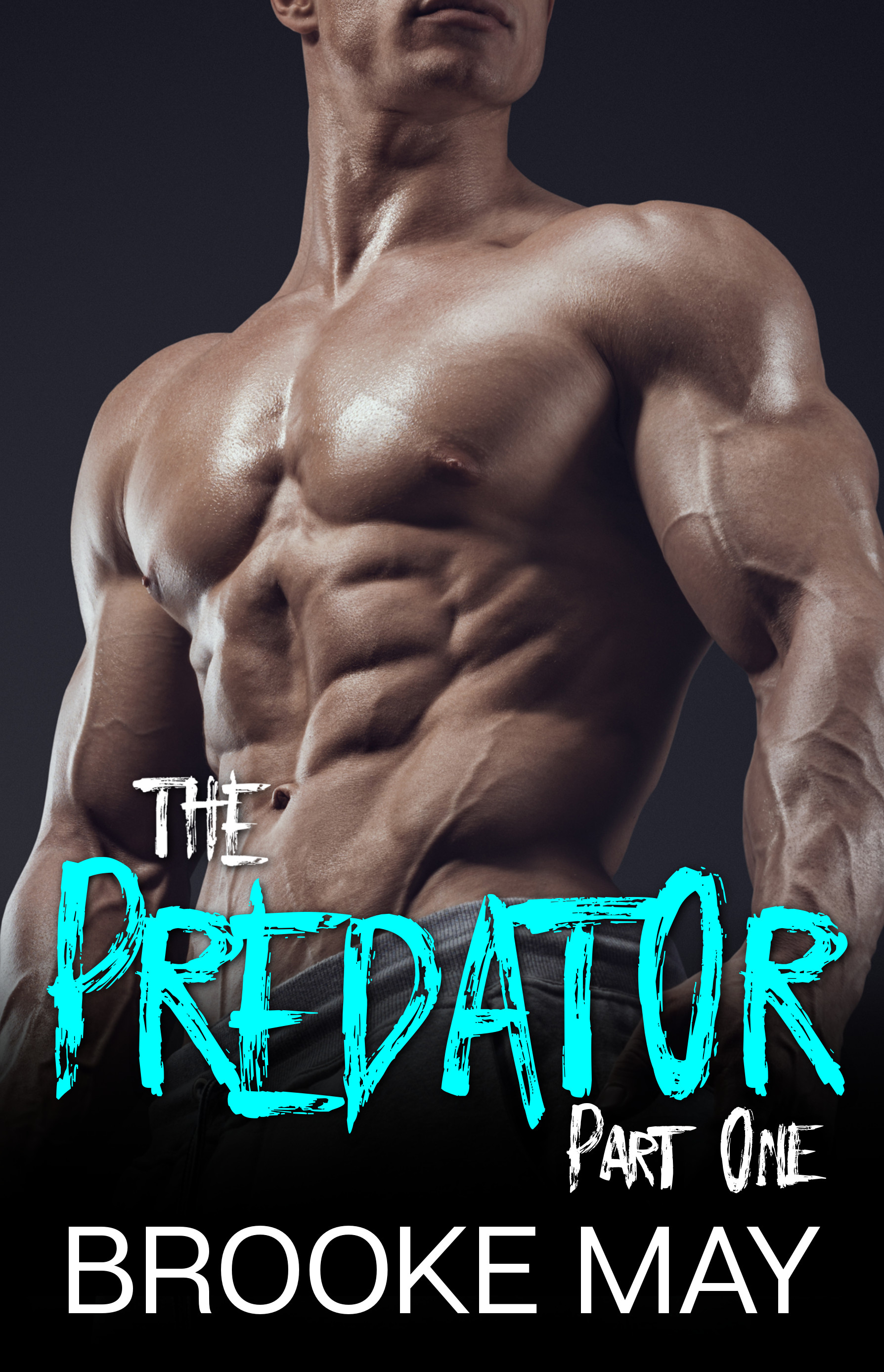 The Predator: Part One (The Predator Series Book 1) by Brooke May