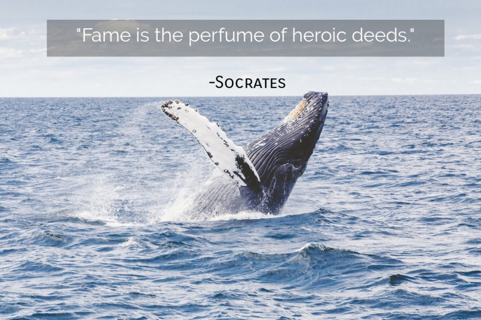Fame is the perfume of heroic deeds. - Quote