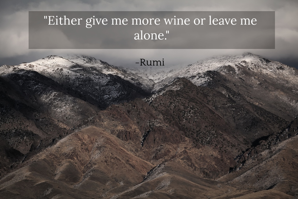 Either give me more wine or leave me alone. - Quote
