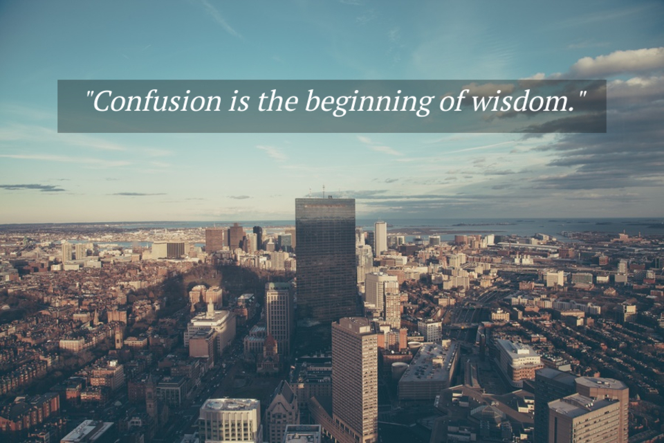 Confusion is the beginning of wisdom. - Quote