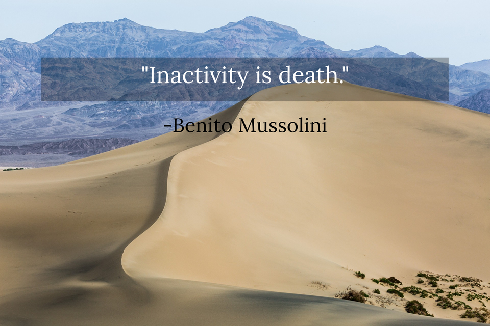 Inactivity is death. - Quote