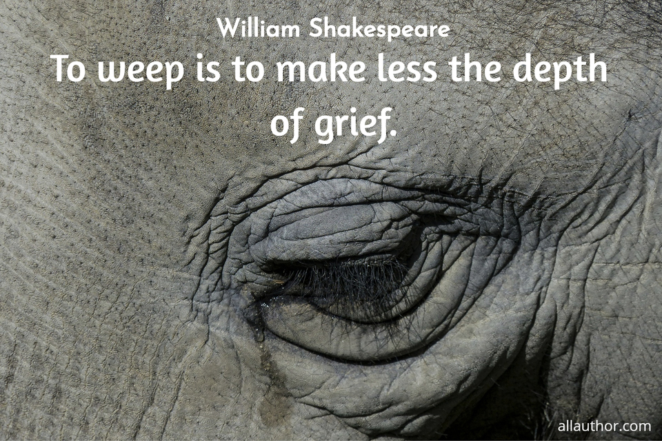 To weep is to make less the depth of grief. - Quote