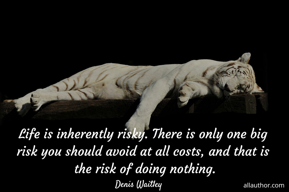 Life is inherently risky. There is only one... - Quote