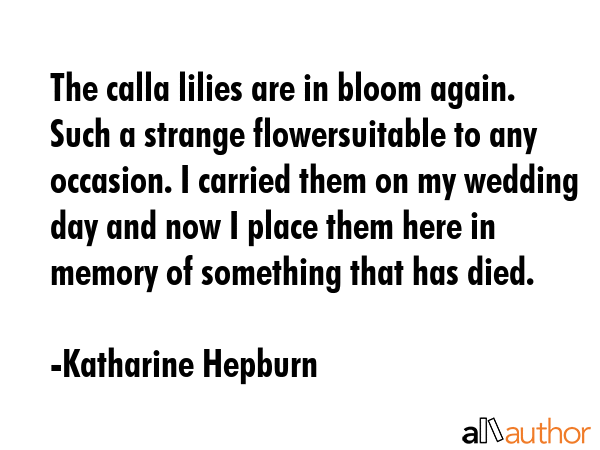 The calla lilies are in bloom again. Such a... - Quote