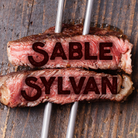 Sable Sylvan, Author | Books | Series | Interview | Deals | Newsletter ...