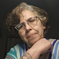 Robin D. (Bower) Vande Zande, Author | Books | Series | Interview ...